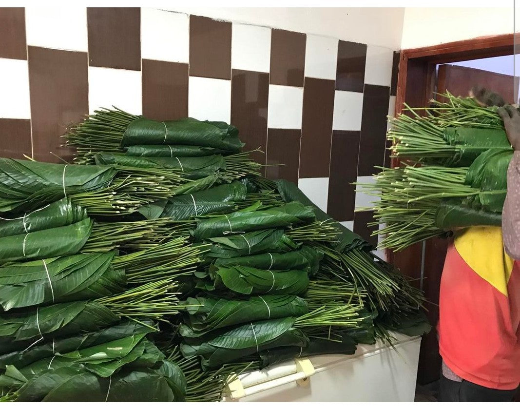 Moin-moin elewe-big size – JaraMarkets